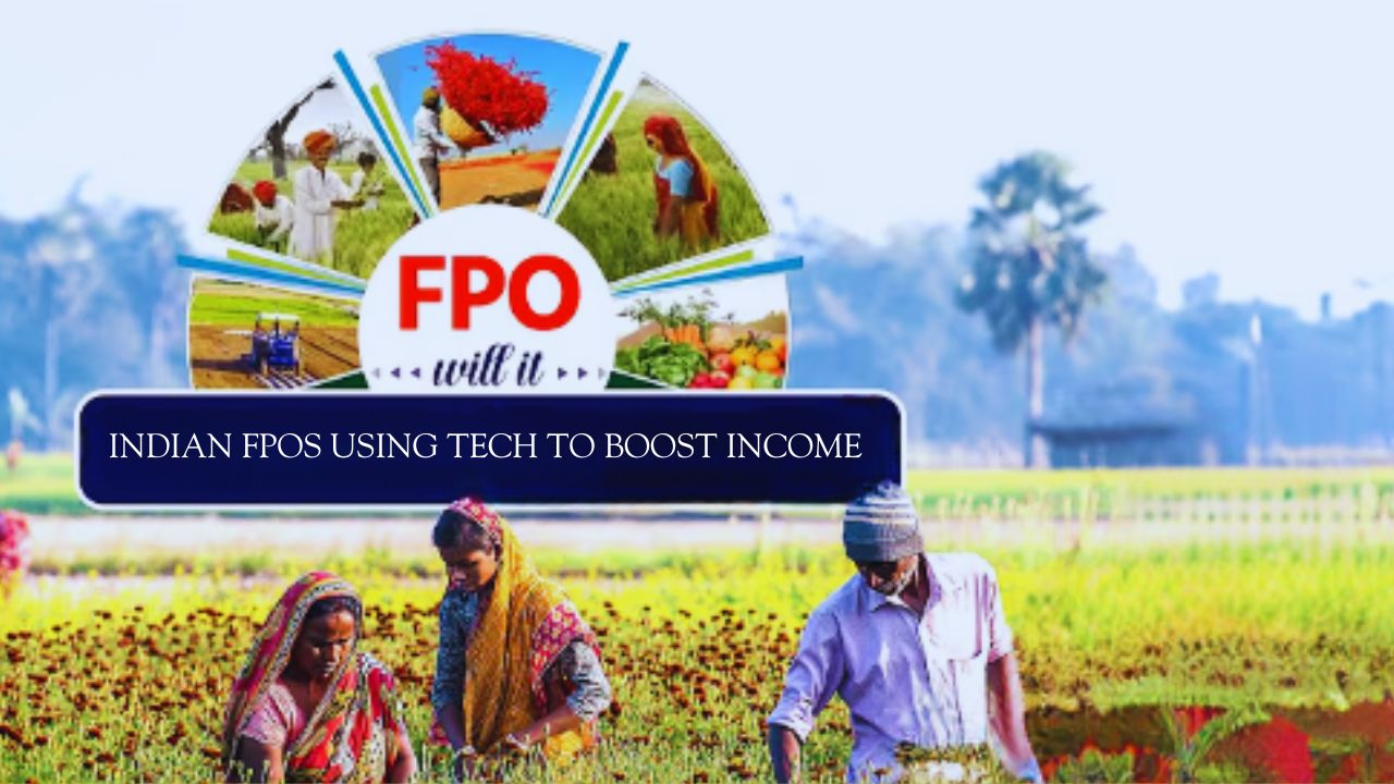 Indian FPOs Using Tech to Boost Income