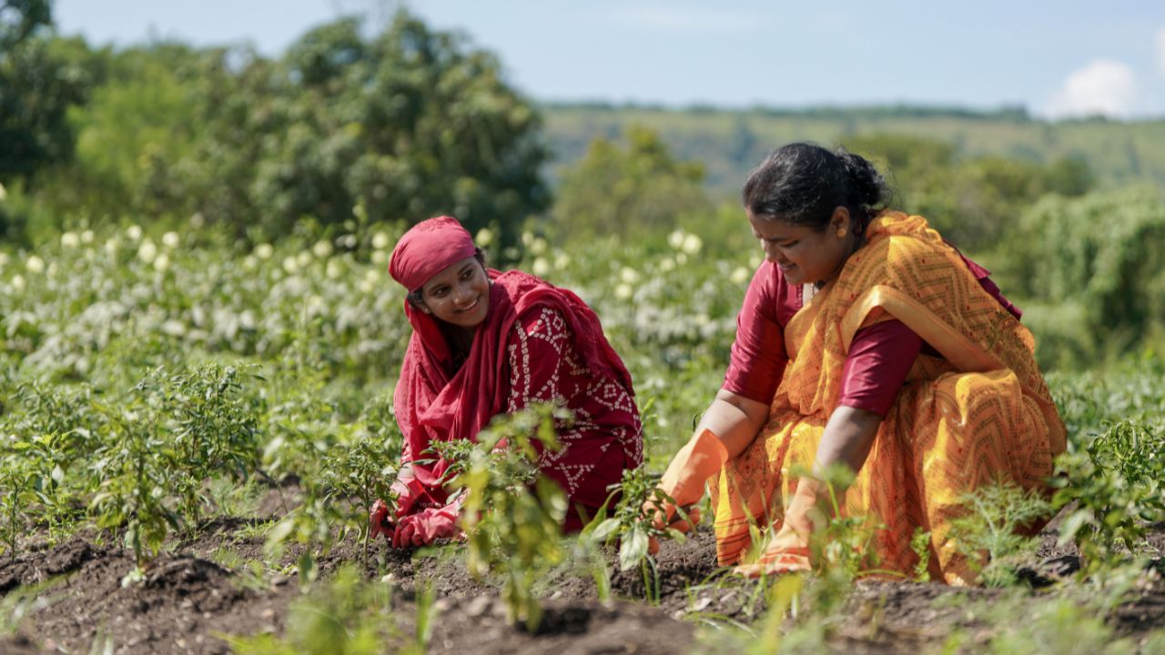 15 Climate-Resilient Farming Practices in India